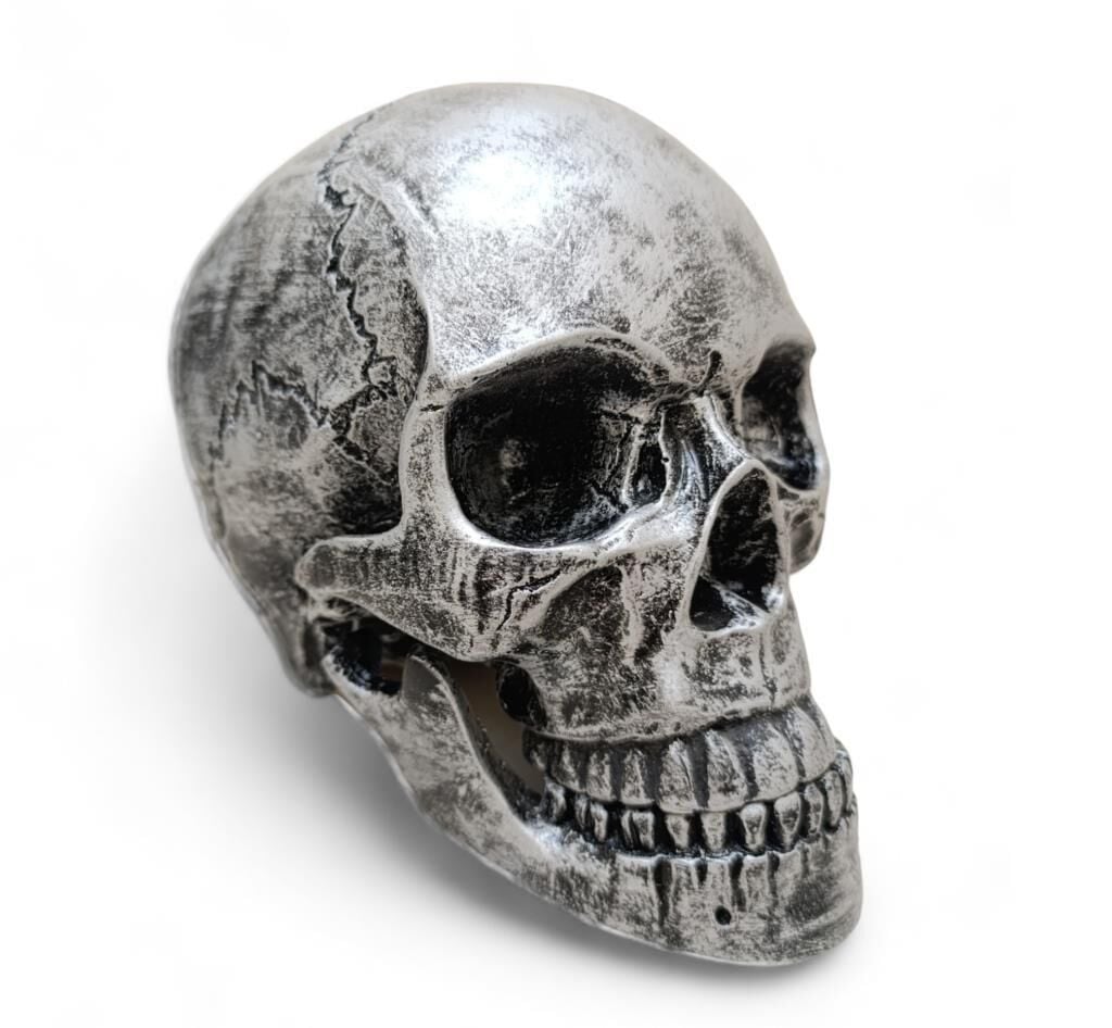 SUME | 1:1 İnsan Kafası Kafatası Heykeli Dekor Kroki Modeli Heykel